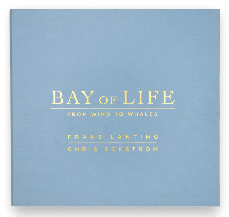 BUY THE BOOK - Bay of Life