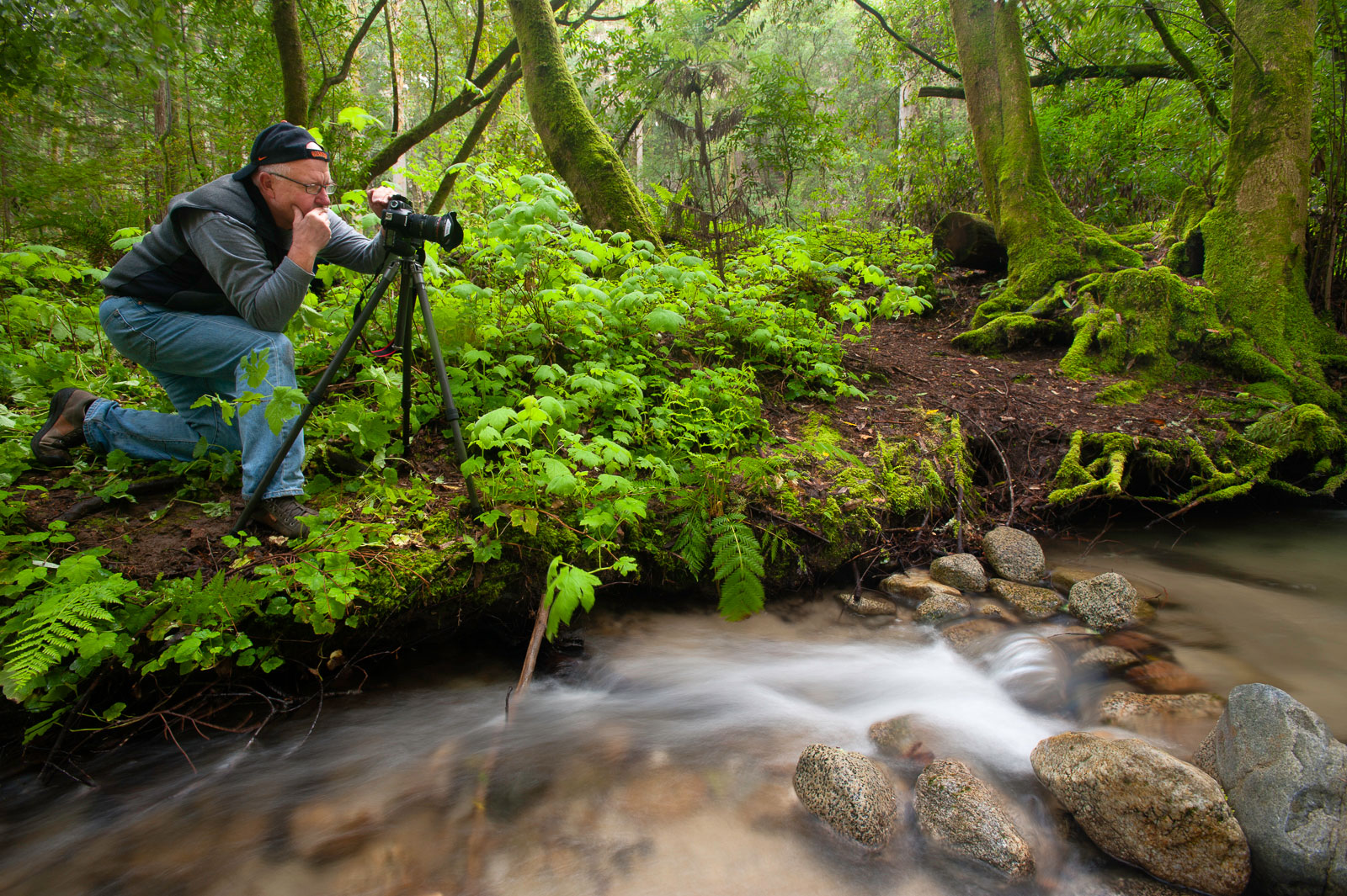 WORKSHOPS - Bay of Life